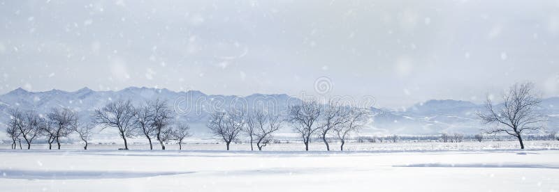Winter Landscape, Snowy Trees Against the Backdrop of Mountains Stock ...