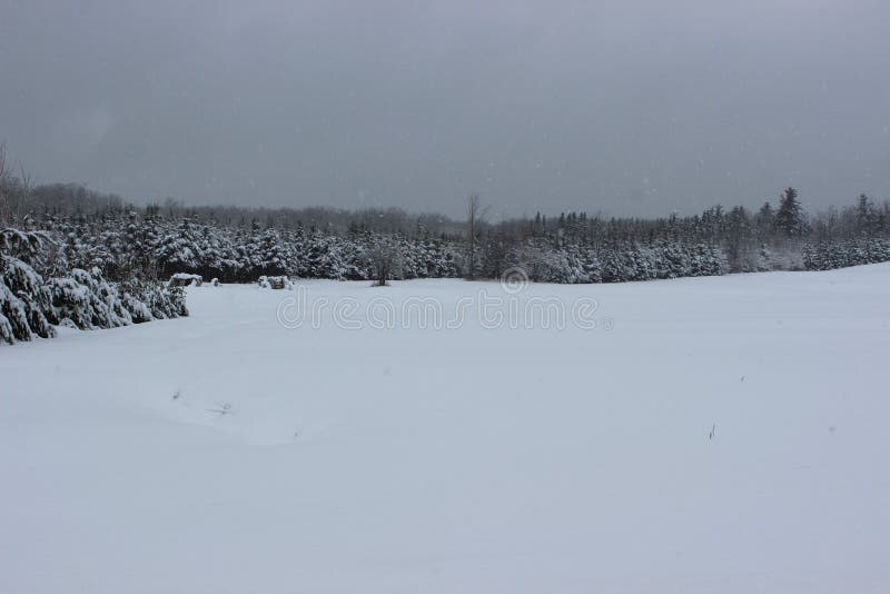 Winter Landscape stock image. Image of wonderland, river - 85225727