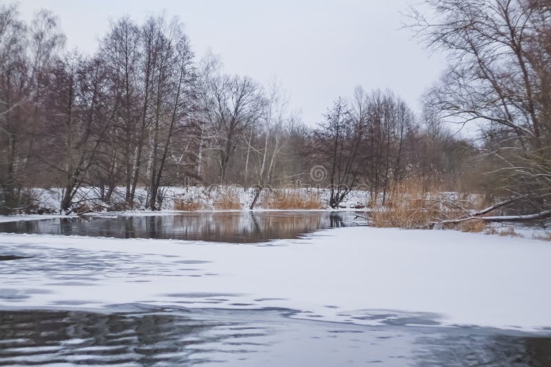 Winter Landscape of a Steppe River with Snow and a Shore with a Forest ...