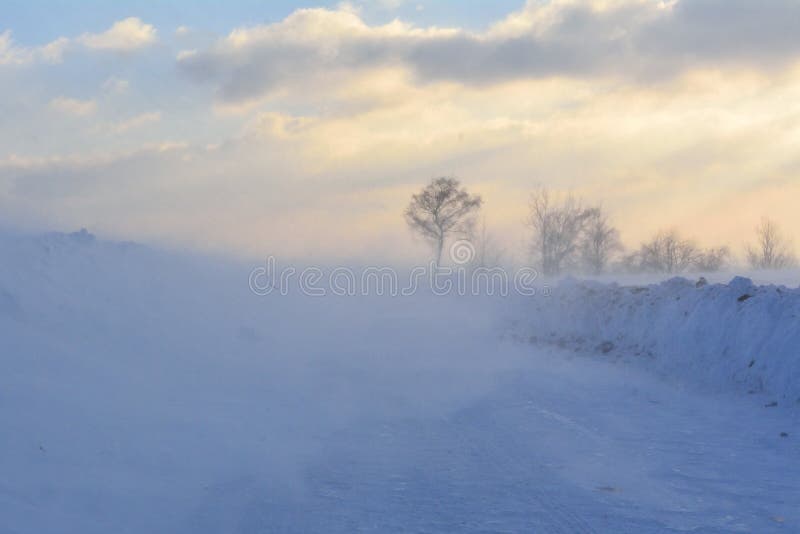 Winter Landscape in Strong Wind Stock Image - Image of winter, travel ...