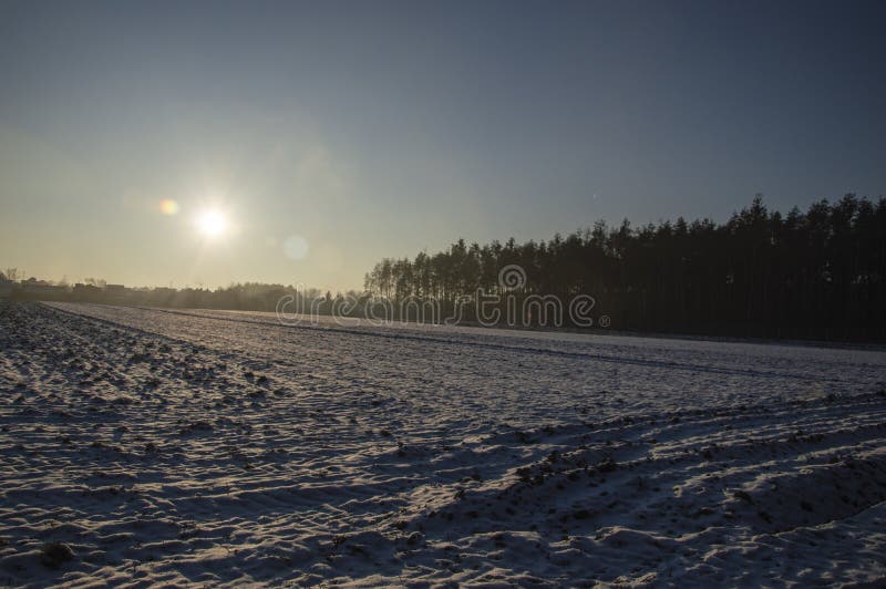 Winter Landscape with the Sun in Contrast on a Cold Day, Fields and ...