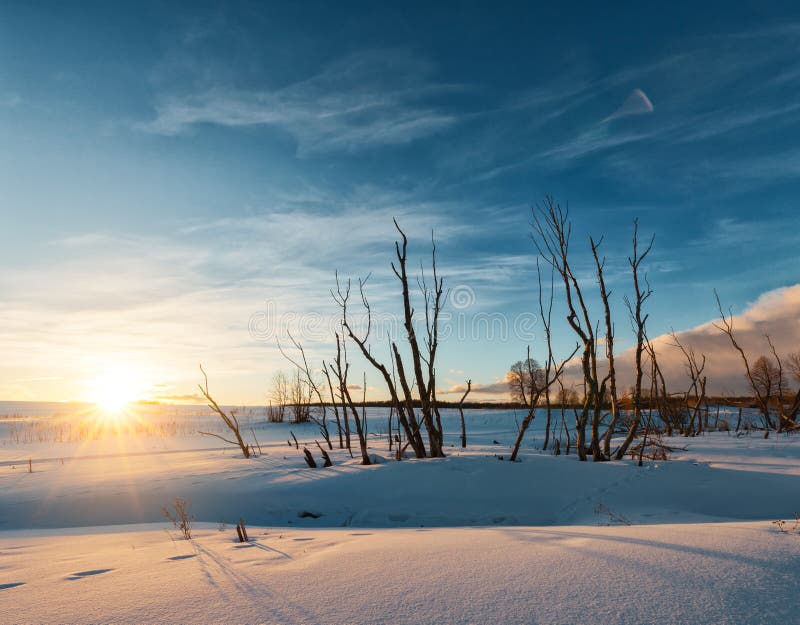 Winter landscape stock photo. Image of landscape, snag - 70363622