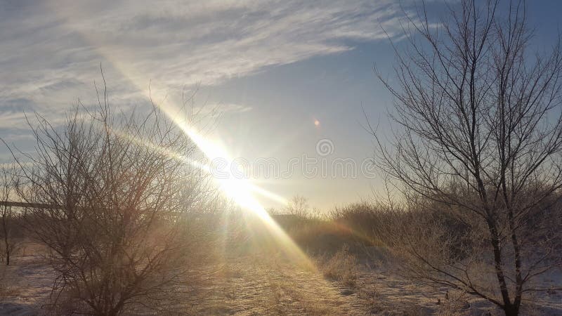 Winter Landscape . Sun Sky and Trees Stock Photo - Image of background ...