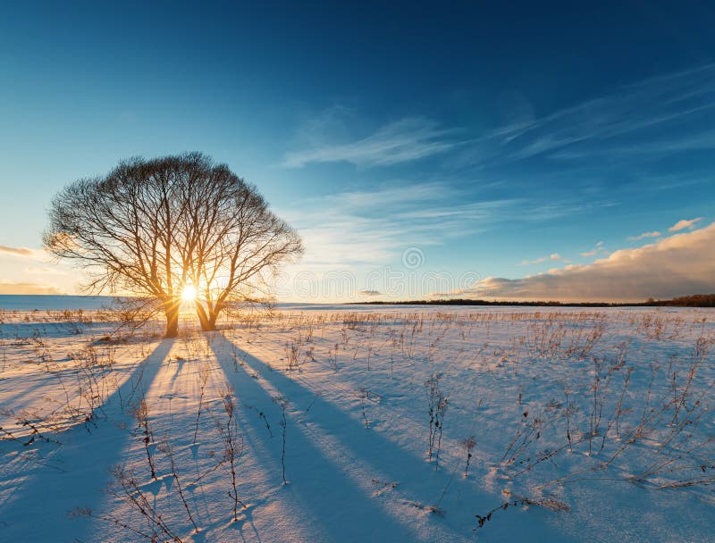 Winter landscape stock photo. Image of serene, silence - 70362766