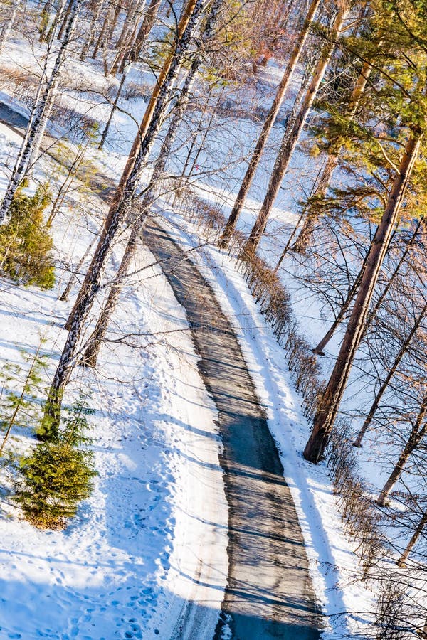 Winter Landscape in Sunlight, Path for Walks in the Park between the ...