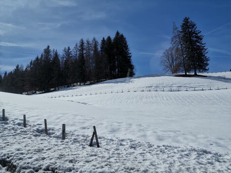 Winter Landscape Sunny March in Austria Stock Image - Image of frost ...