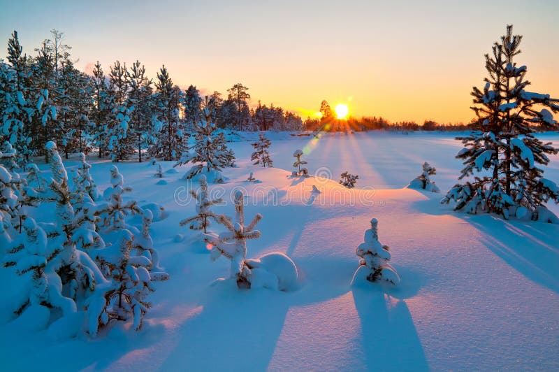 Sunset with long shadows. stock image. Image of snow - 17713853
