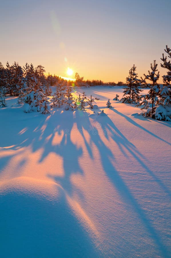Sunset with long shadows. stock image. Image of snow - 17713853