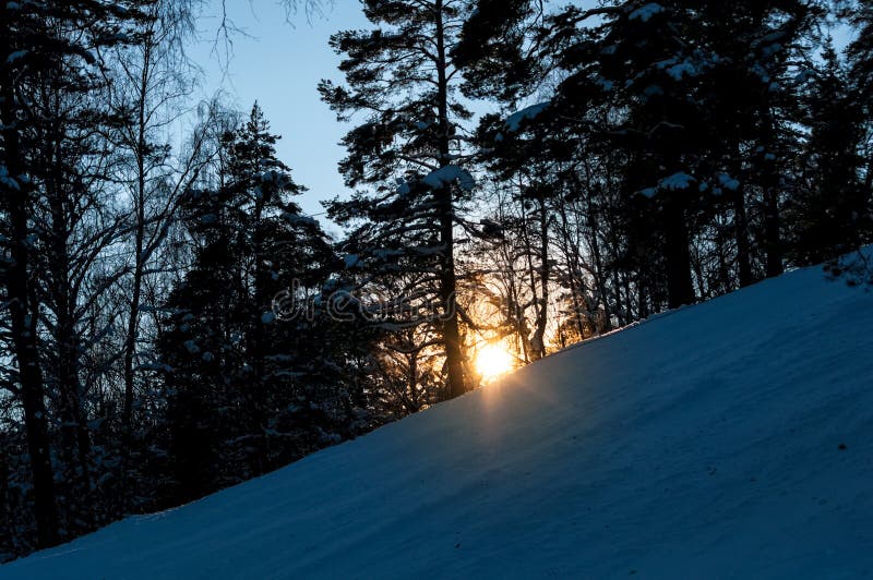 Winter Landscape. Sunset Over the Forest on Snowy Hillside Stock Photo ...