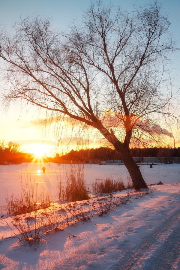 Winter Landscape with Sunset Sky. Stock Photo - Image of beach ...