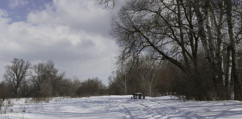 Winter Landscape with Table Stock Photo - Image of sunny, trees: 113235218
