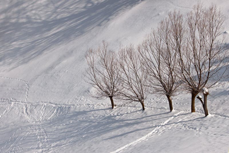 Winter landscape and trees stock photo. Image of embrace - 27903466