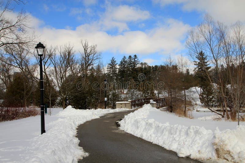 Winter Landscape stock image. Image of nature, landscape - 271274311