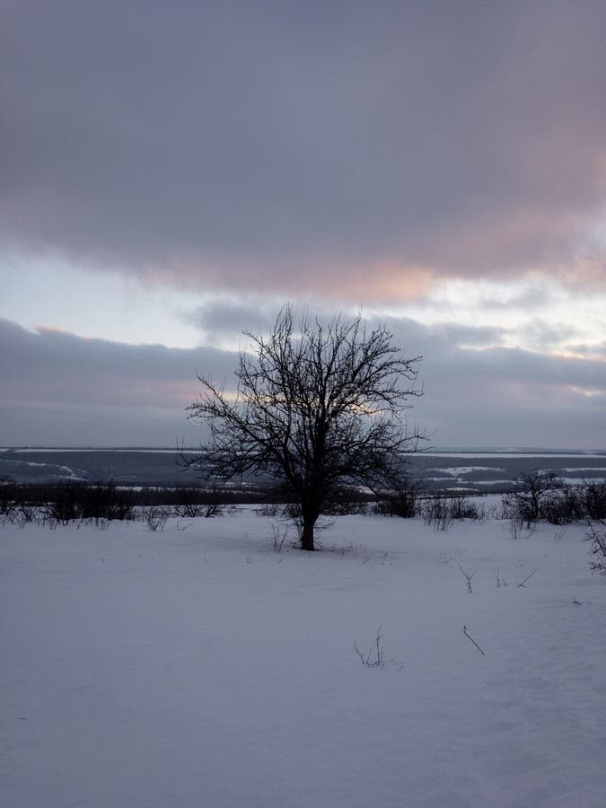 Winter Landscape with Trees Stock Image - Image of mist, donbass: 136724745
