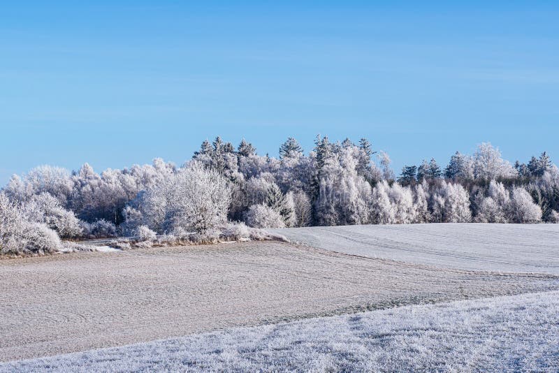 Winter Landscape with Trees Covered with Hoarfrost Stock Image - Image ...