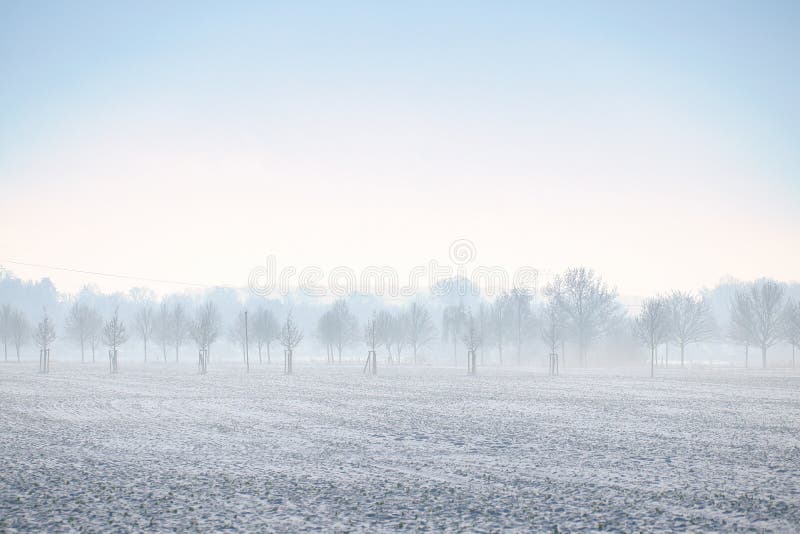 Winter Landscape with Trees on the Edge of a Field Covered with Snow ...