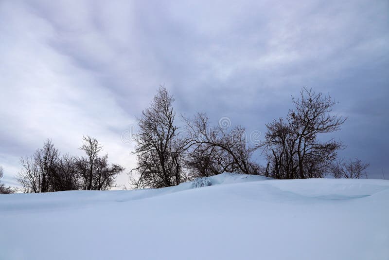 A Winter Landscape with Trees and High Snow in Bavaria Stock Image ...