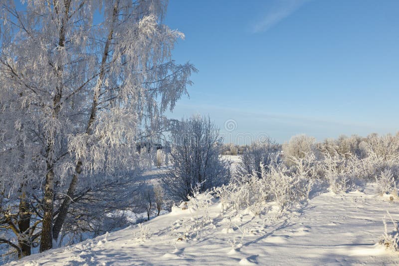 Winter landscape stock image. Image of scenic, countryside - 78323115