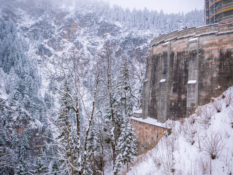 Winter Landscape Trees Pine with Empty Space for Text. Stock Image ...
