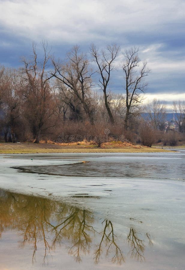 Winter Landscape with Trees Reflection Stock Photo - Image of ...