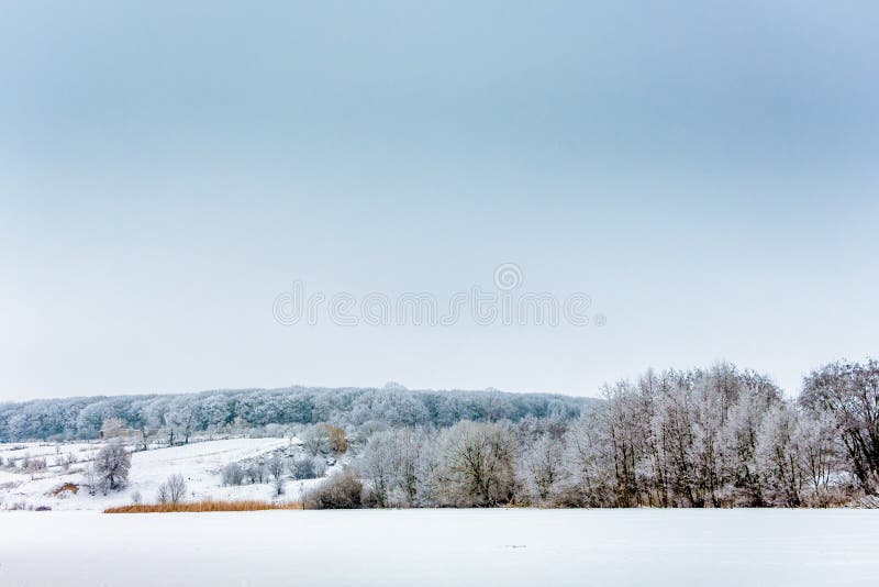 Winter Landscape with Trees by the River and Forest in the Distance ...