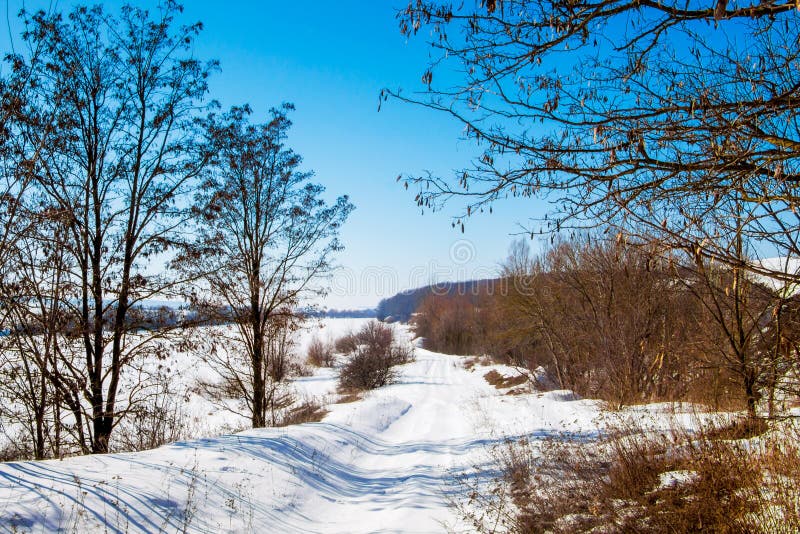 Winter Landscape: Trees and Shadows from Them on the Snow on a C Stock ...