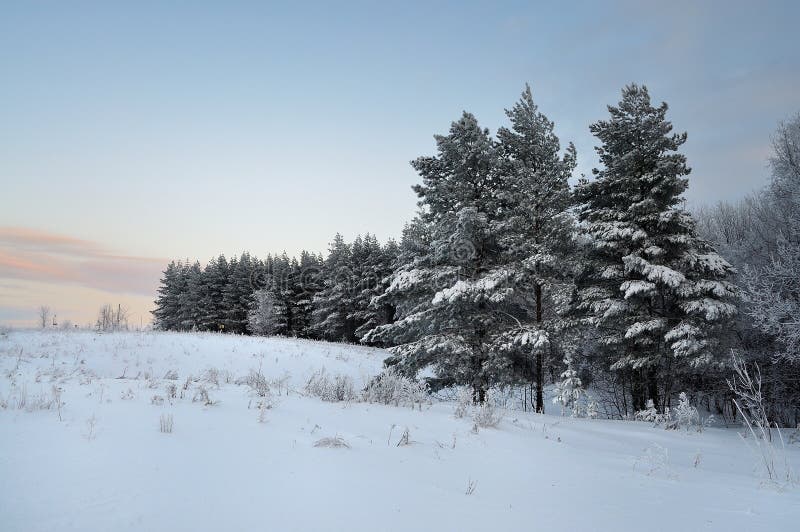 Winter landscape stock image. Image of snowy, holiday - 53088703