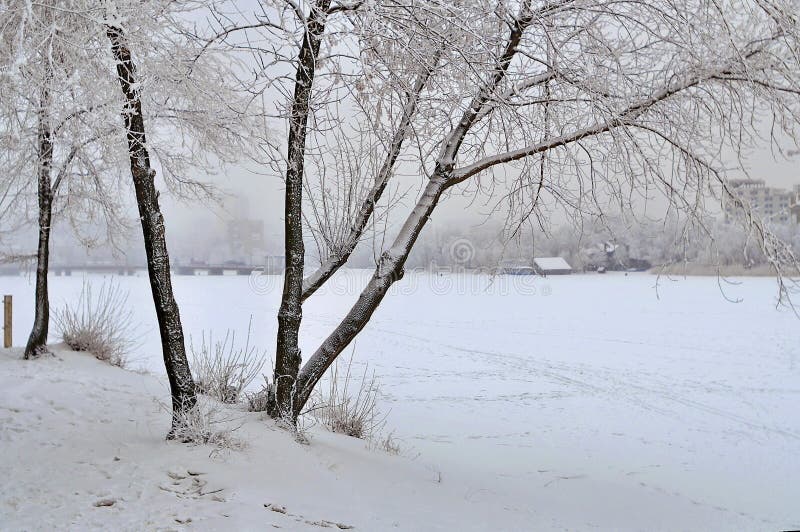 Trees in the Snow, a Frozen River Covered with Snow Stock Photo - Image ...