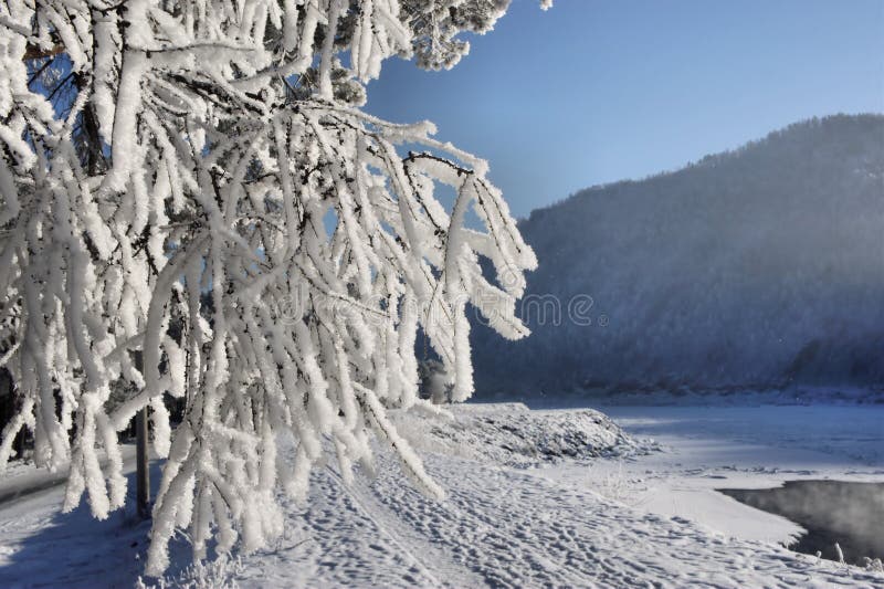 Winter Landscape. Trees with Snow and Hoarfrost Stock Photo - Image of ...
