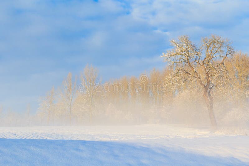 Winter Landscape View Fields Forests Covered Snow Fog Stock Photo ...