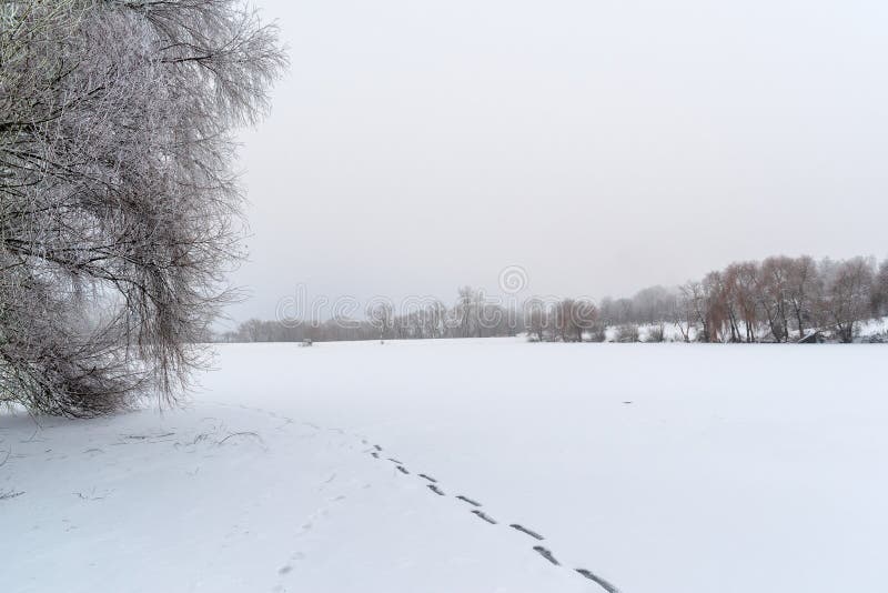 Winter Landscape. Winter Weather Snow is on the Ground Stock Photo ...