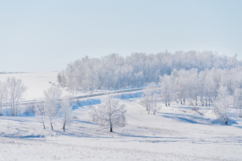 Winter Landscape, White Snow Field with White Forest in Winter Stock ...