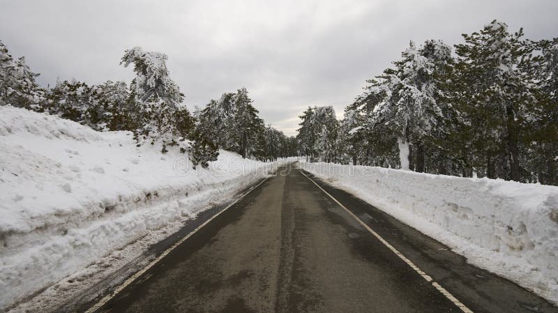Winter Landscapes from Cyprus Stock Photo - Image of trees, frost: 11179278
