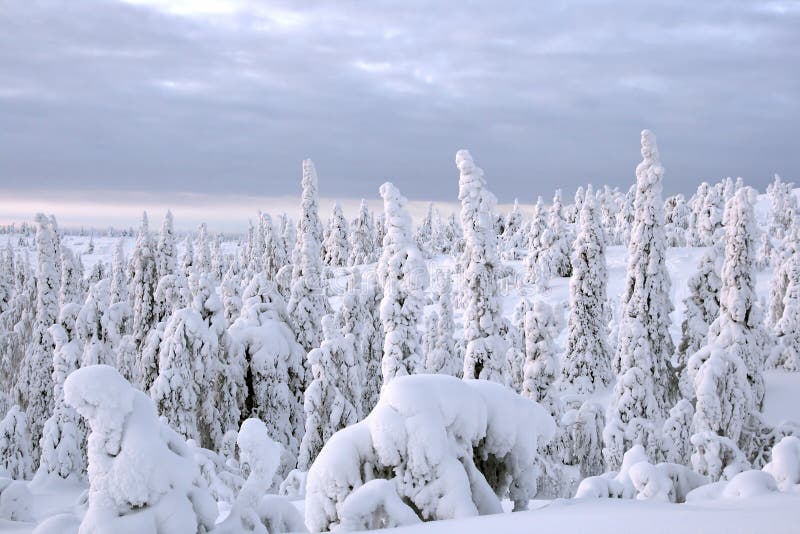 Winter lanscape stock image. Image of finland, shadows - 17553115