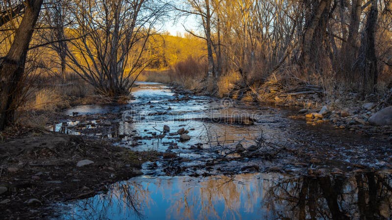 Stream With Winter Trees Reflected In Water Stock Image - Image of ...