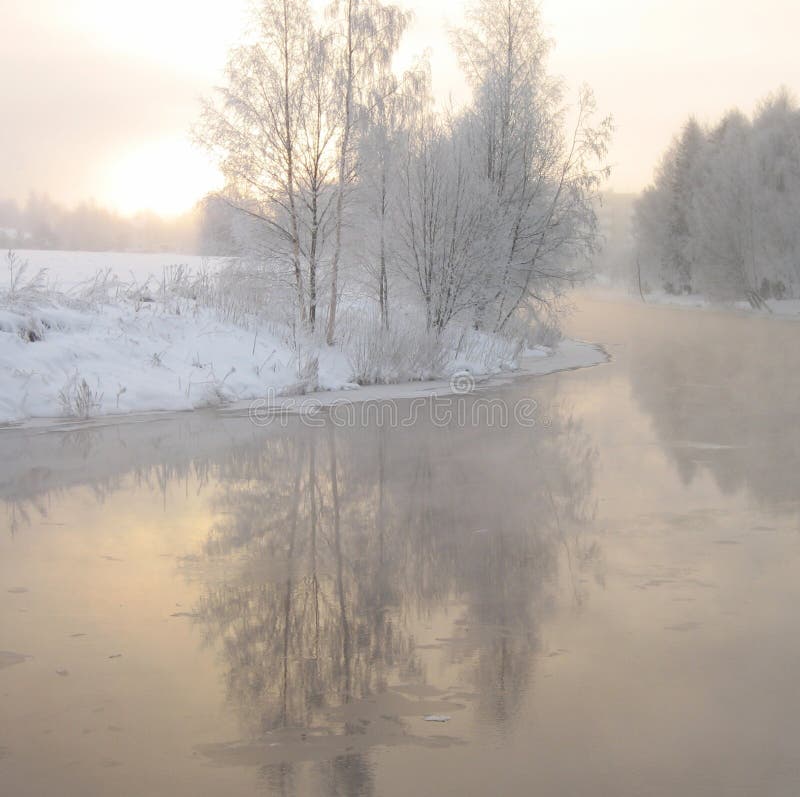 Winter stock photo. Image of frozen, snow, detail, cold - 1447956