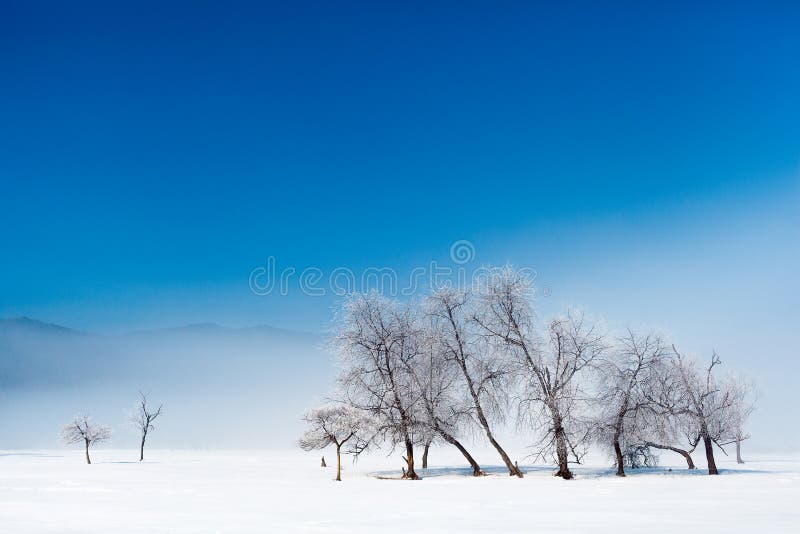 Winter Light Landscape Background Stock Photo - Image of landscape ...