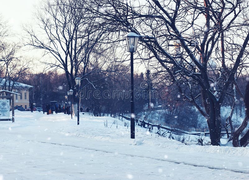 Winter Light Street and Tree Stock Image - Image of landscapes, morning ...