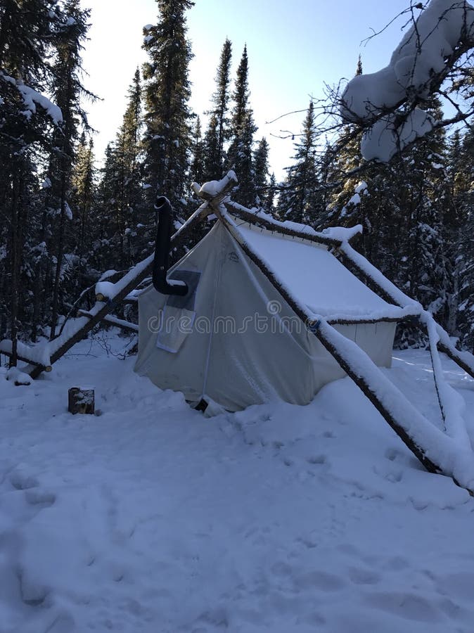 Bush tent stock image. Image of trees, winter, blue - 126241267