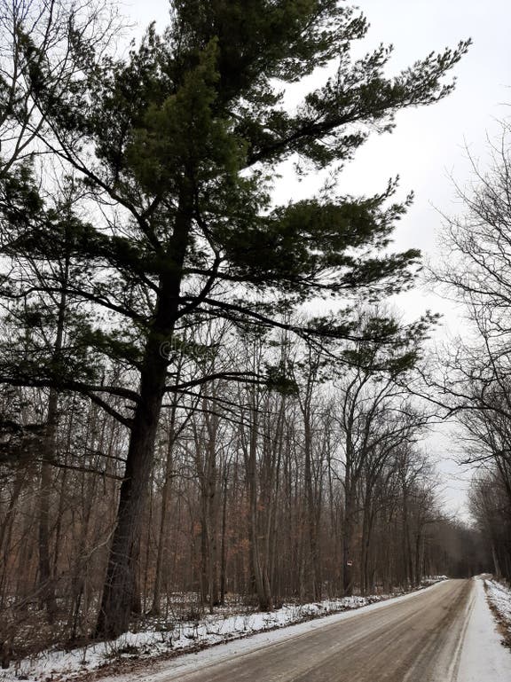 Winter Long Drive on the Back Roads Stock Photo - Image of drive, long ...