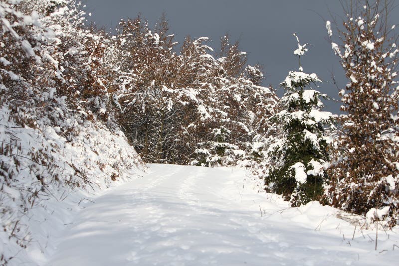 Winter with Lots of Snow in Bavaria is Beautiful Stock Image - Image of ...