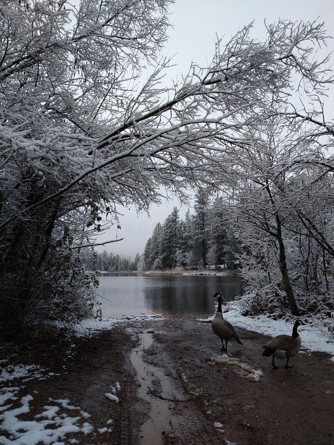 Winter in magalia stock photo. Image of magalia, lake - 213401752