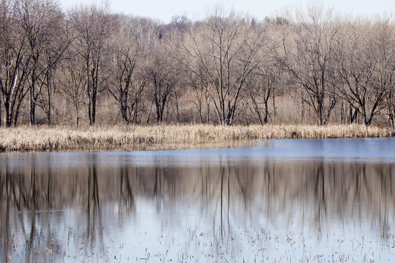 Winter Marsh Landscape with Reflection in Water Stock Photo - Image of ...