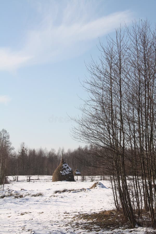 Winter View with the Haystack Stock Photo - Image of rural, meadow ...