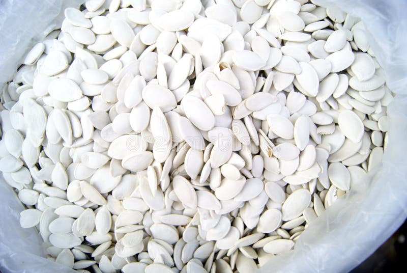 Winter Melon Or Wax Gourd Vines With Thick Green Leaves And Tend Stock ...