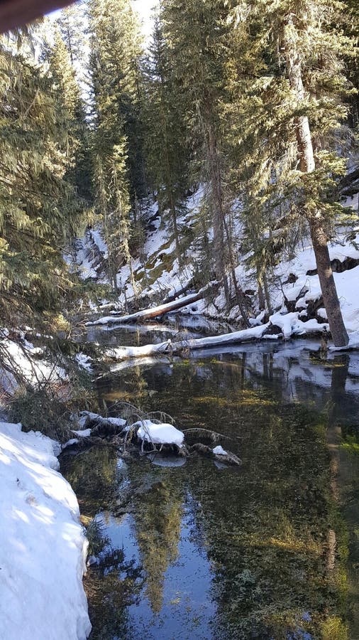 Winter melt stock photo. Image of biome, mountain, woodland - 86200300