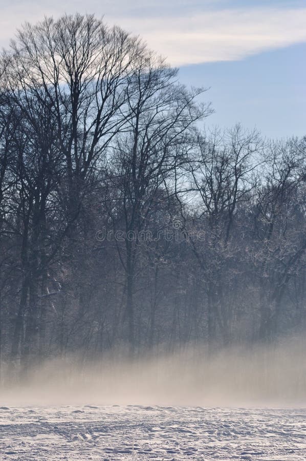 Winter with mist stock photo. Image of freezing, covering - 29004964