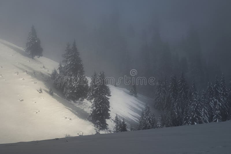 Winter Mist in Ciucas Mountains, Romania Stock Photo - Image of rural ...