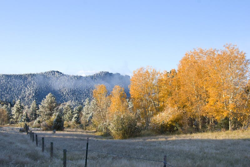 Winter Mist, Frost and Snow Stock Image - Image of rolling, fallen ...