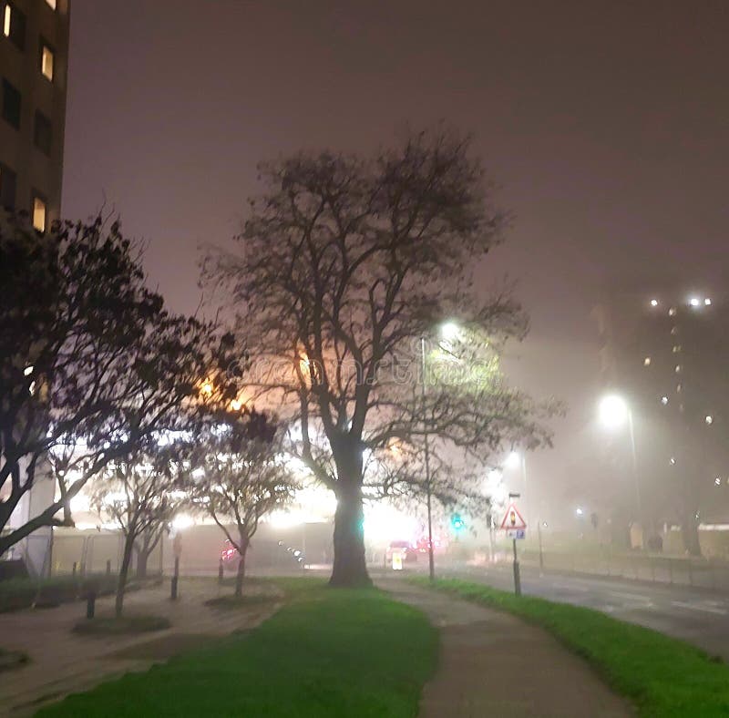Winter Mist and Trees and City Street Lights Stock Image - Image of ...